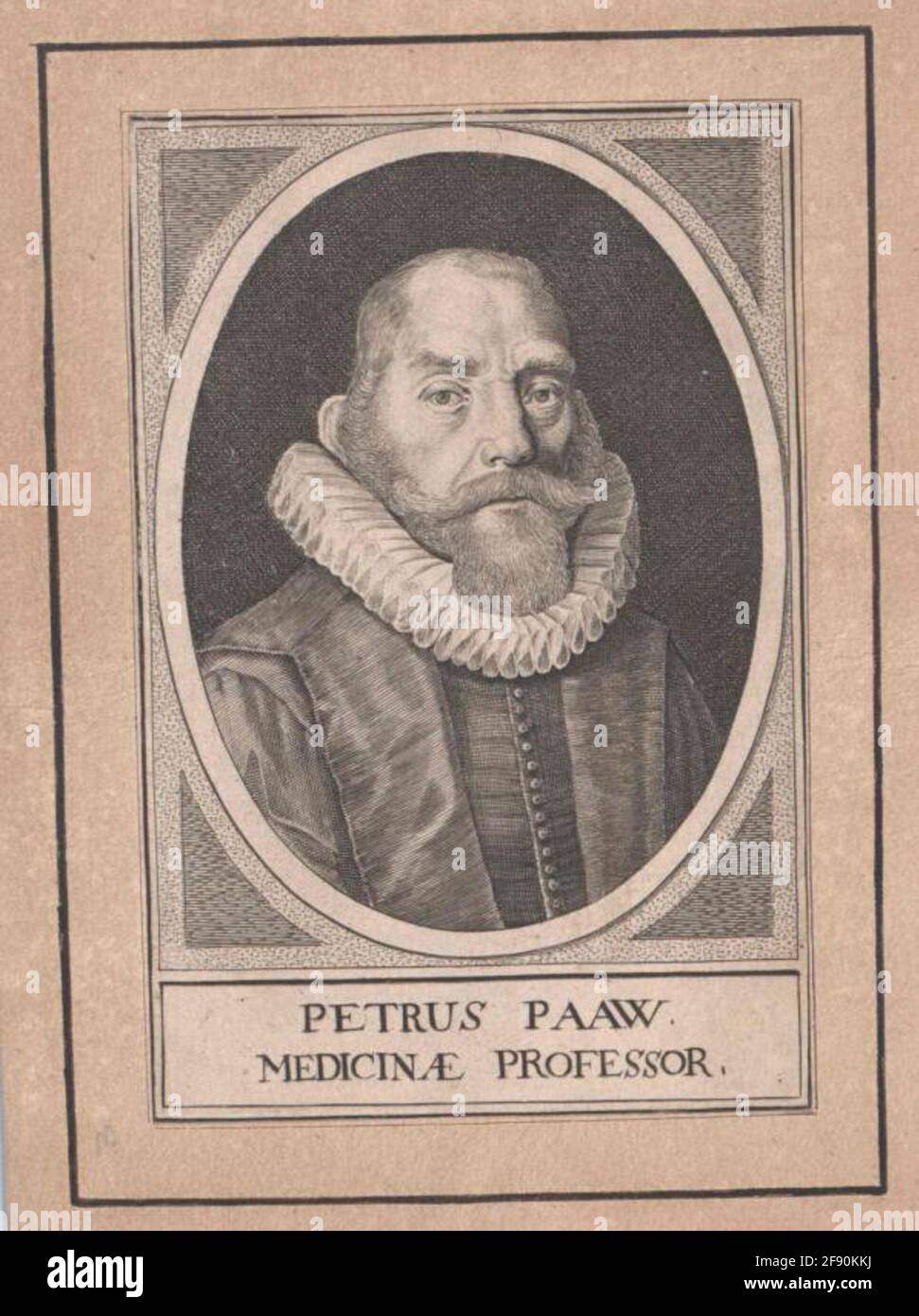 Pieter Pauw High Resolution Stock Photography and Images - Alamy
