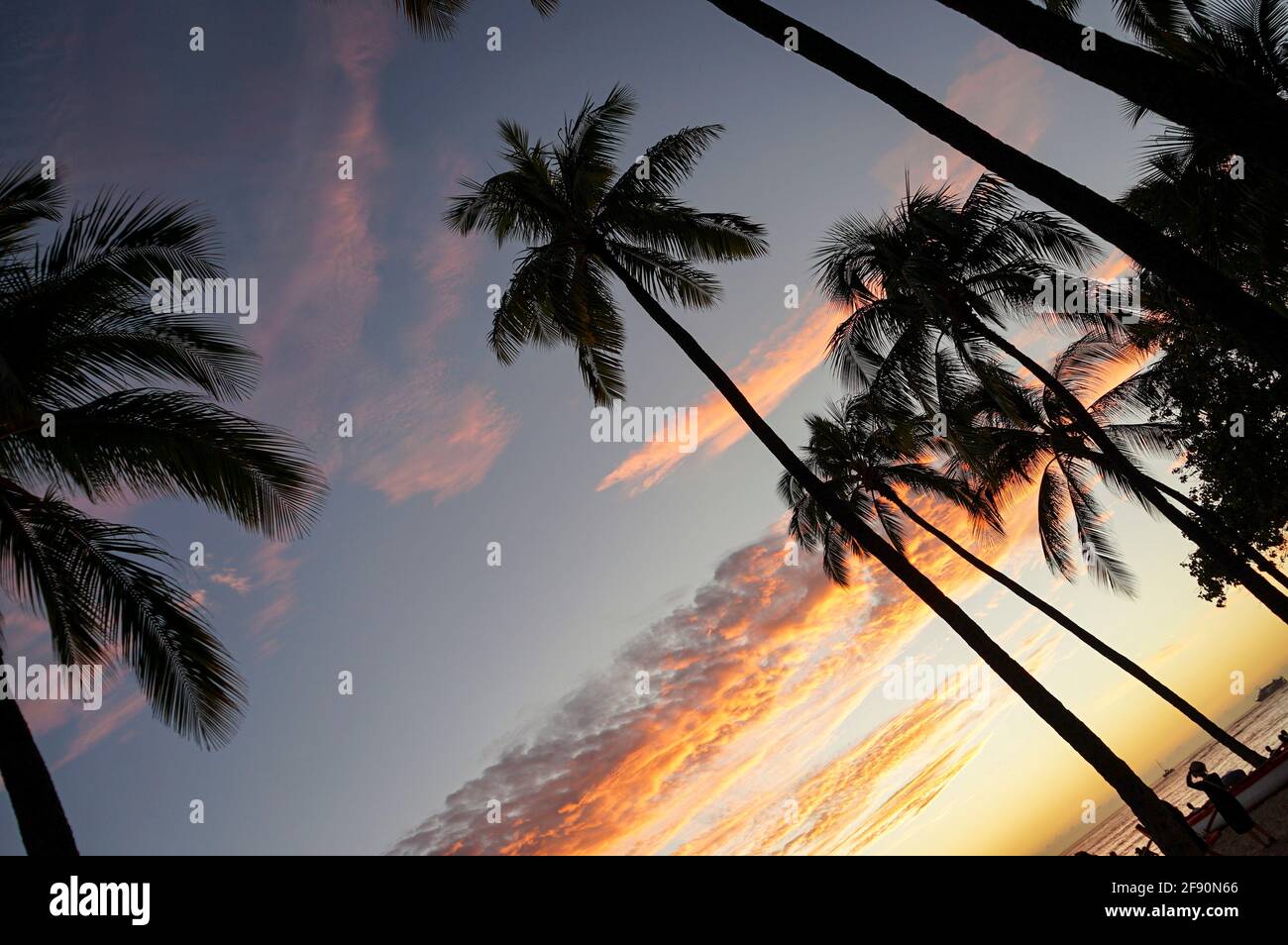 Sunset beach oahu surf hi-res stock photography and images - Alamy