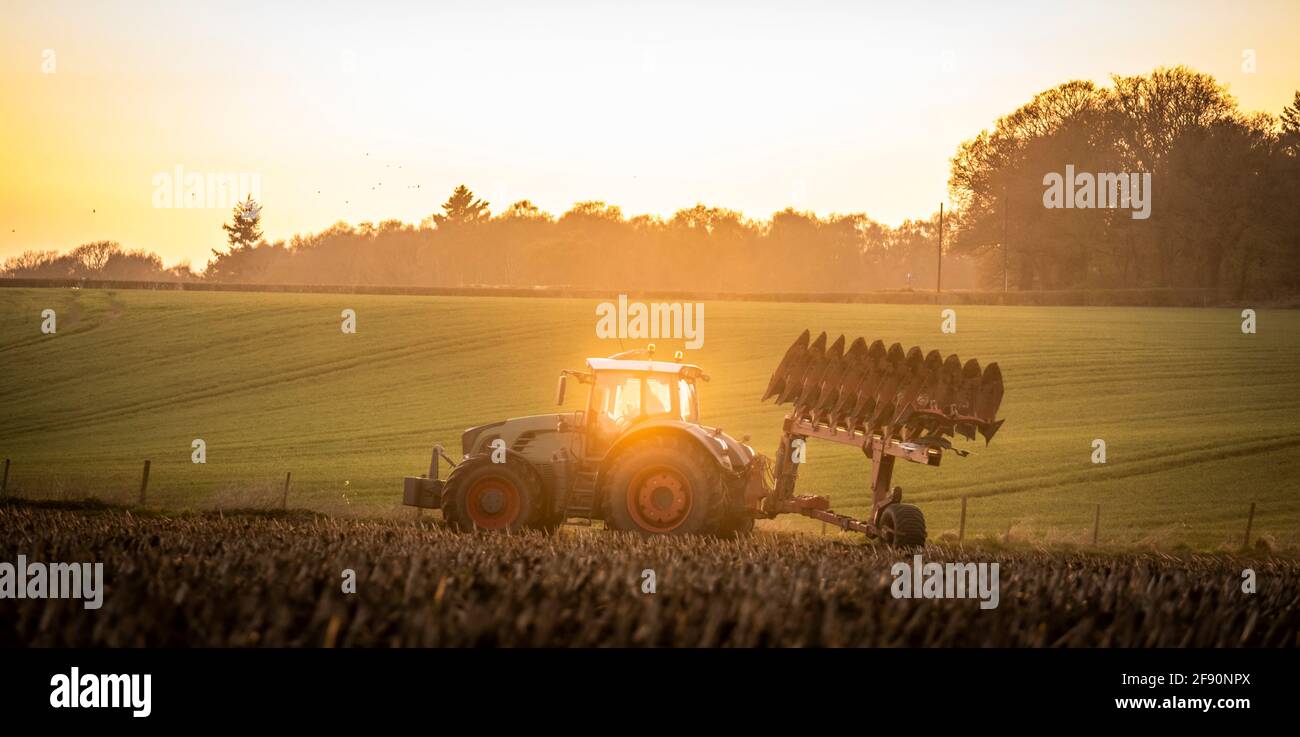 Ploughing a field at sunset with a tractor and plough, ready for crops ...