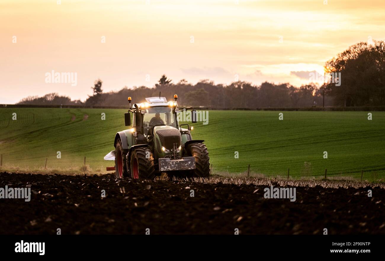 Ploughing a field at sunset with a tractor and plough, ready for crops ...