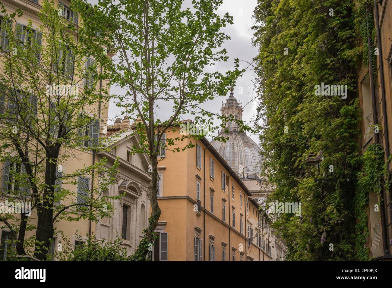 Residential buildings of Rome surrounded by greenery under a cloudy sky ...