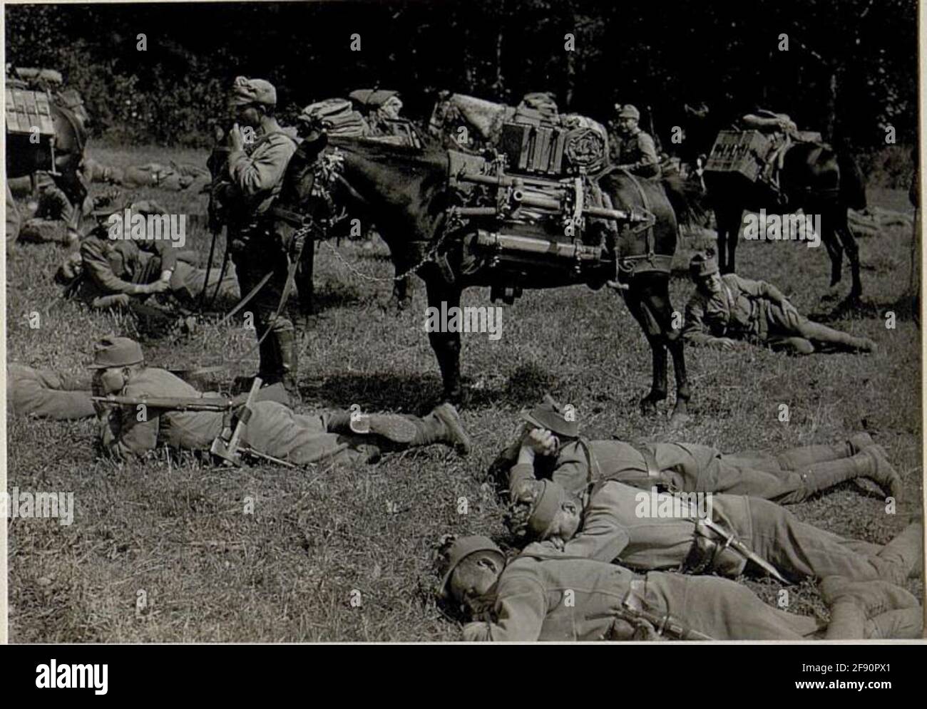 Visit Erzherzog's Karl at the 36th Infantry Division on 24.8.1916 ...