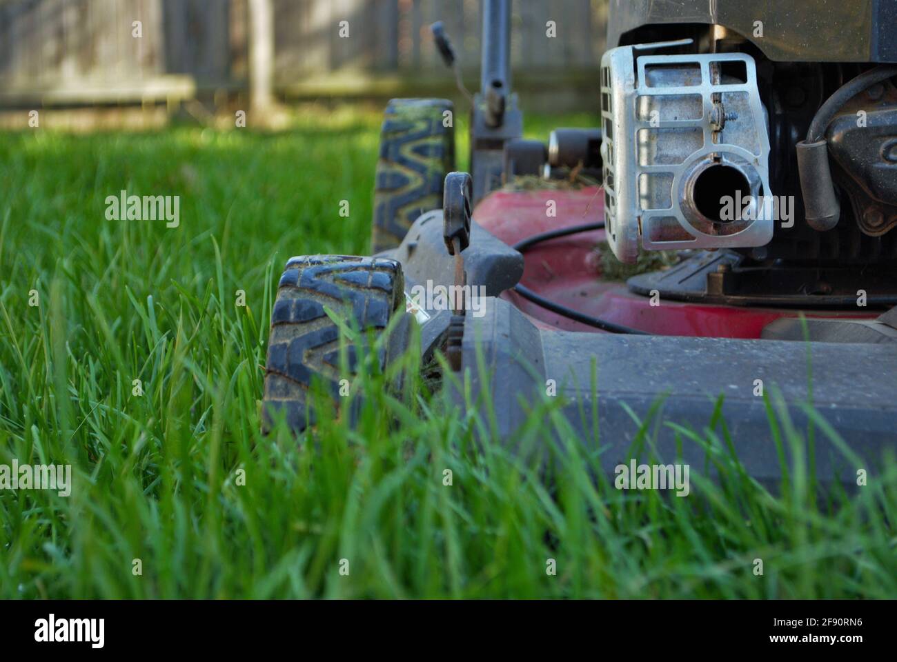 Ground level view of a lawnmower in tall grass Stock Photo - Alamy