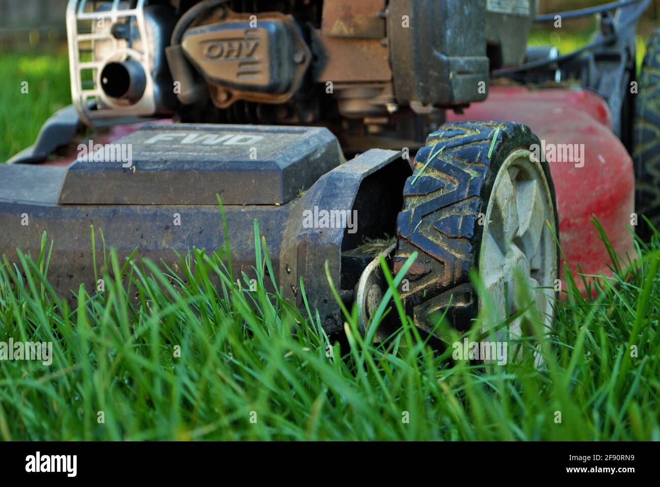 Ground level view of a lawnmower in tall grass Stock Photo - Alamy