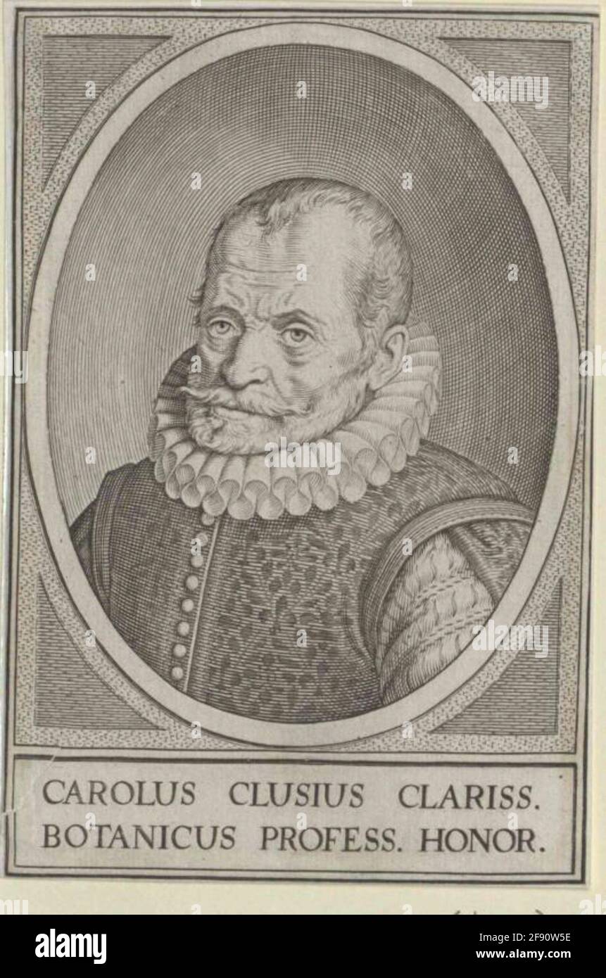 Andrix hi-res stock photography and images - Alamy