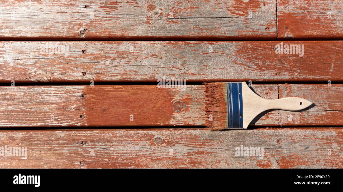 Brush loaded with stain on outdoor wooden cedar for resurfacing the ...