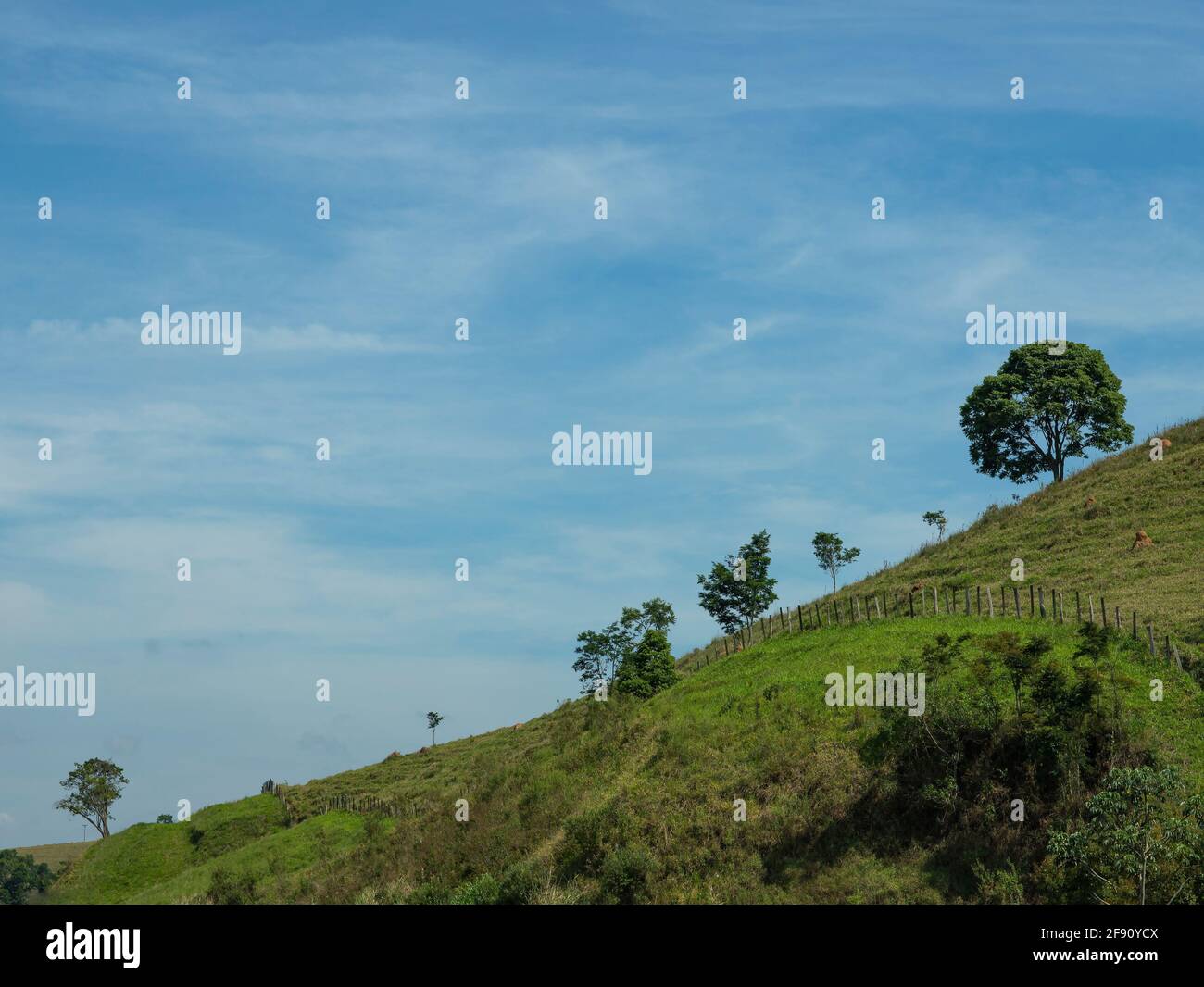 Sloping hill. Trees on a hill Stock Photo - Alamy