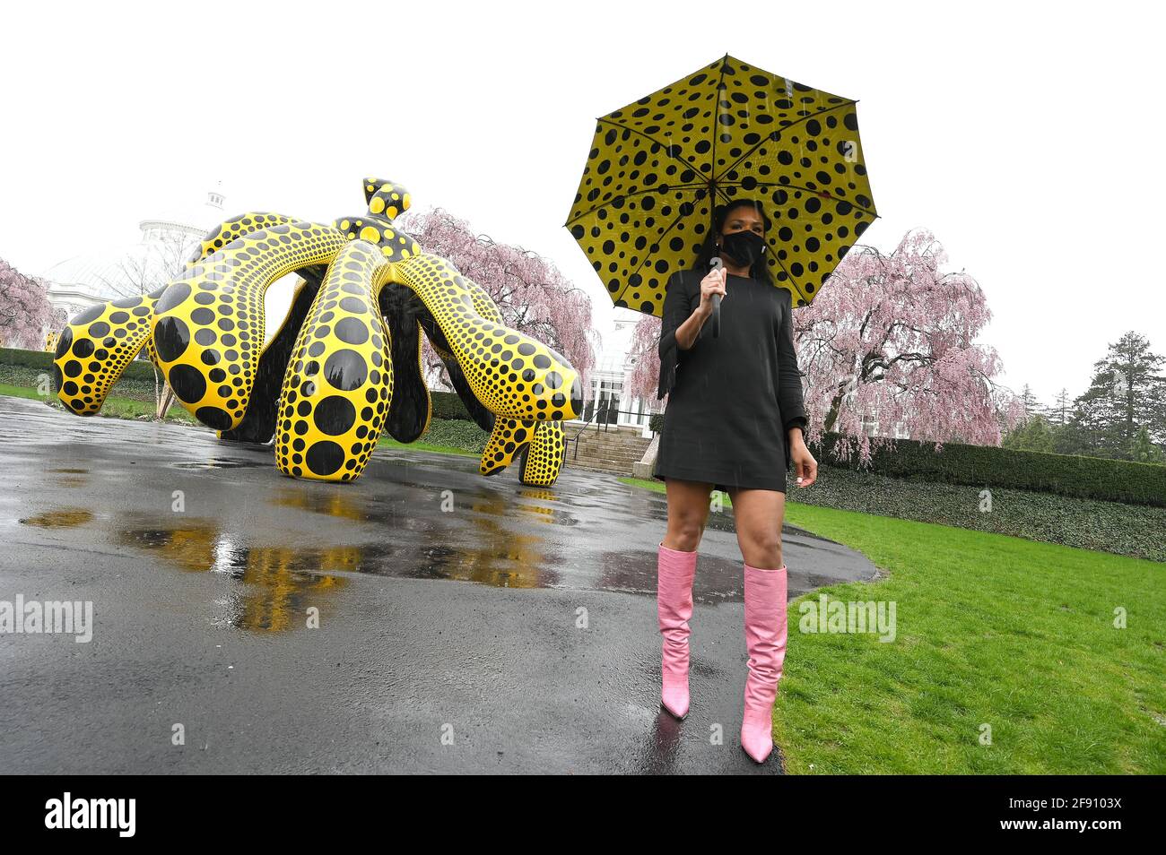 Kia davis hi-res stock photography and images - Alamy