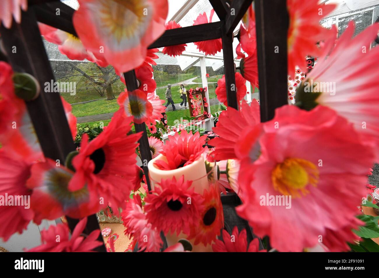 Inside view of “Flower Obsession” an interactive display where visitors ...