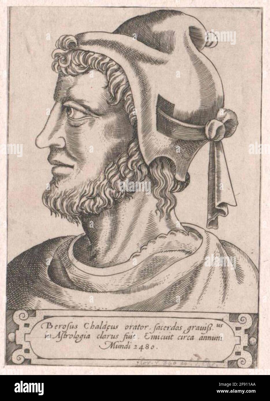 Berosus hi-res stock photography and images - Alamy