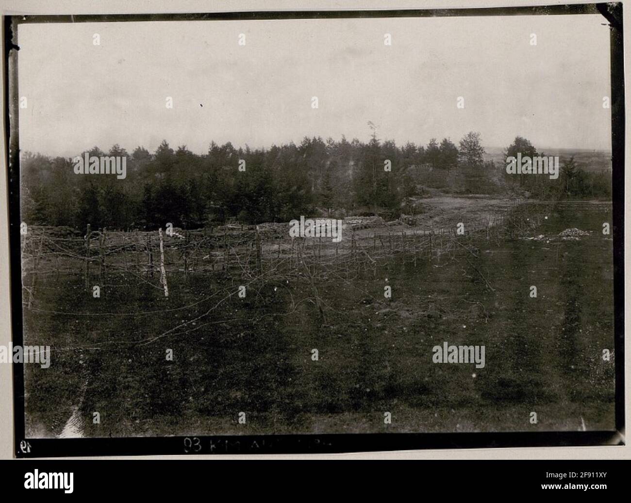 Trench and wire thorns infantry regiment 14 Stock Photo - Alamy