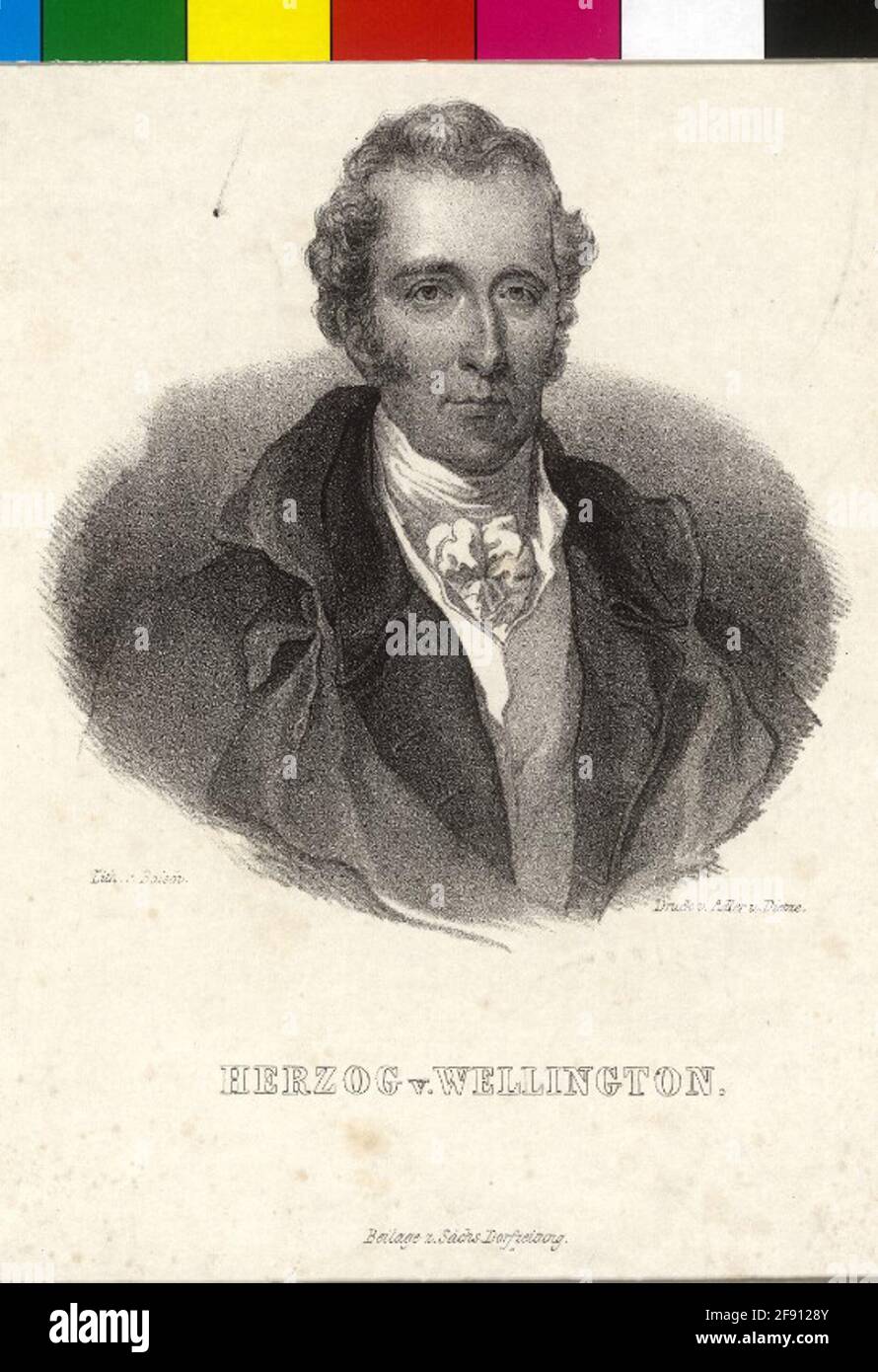 Wellington, Arthur Wellesley Duke of Stock Photo - Alamy