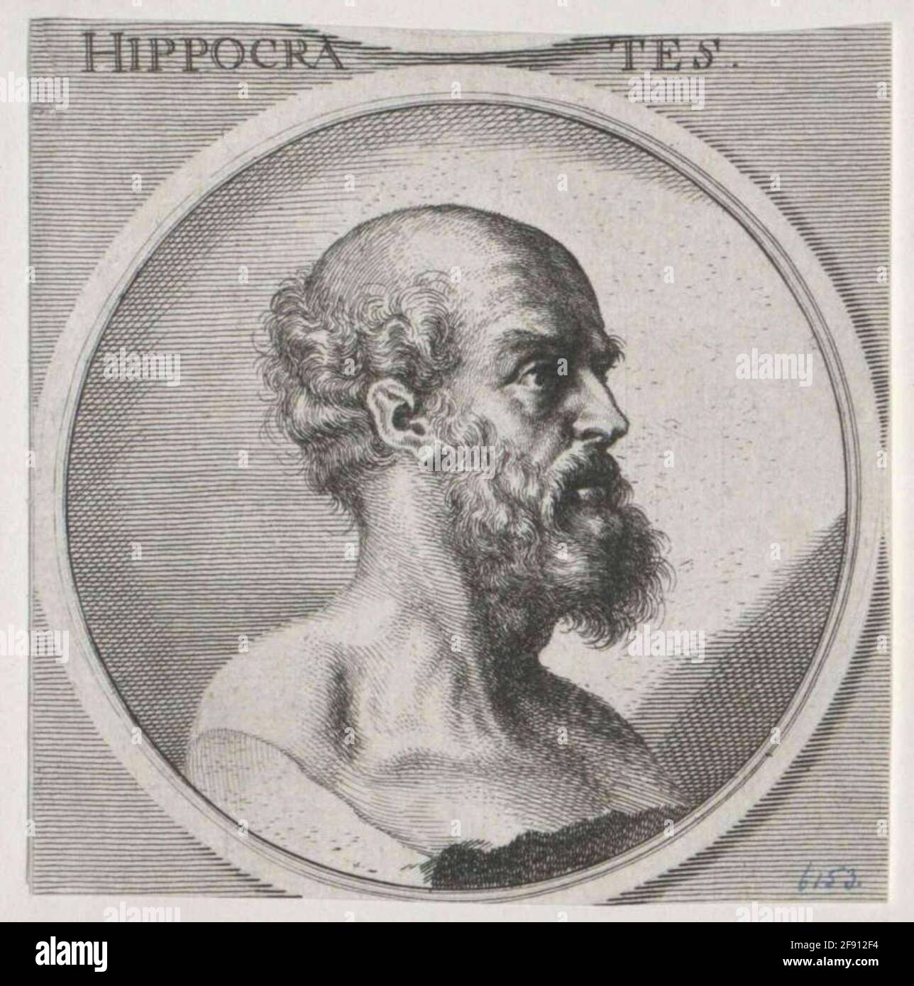Father of western medicine hi-res stock photography and images - Alamy