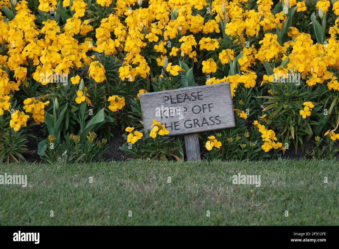 Please do not touch the flowers hi-res stock photography and images - Alamy