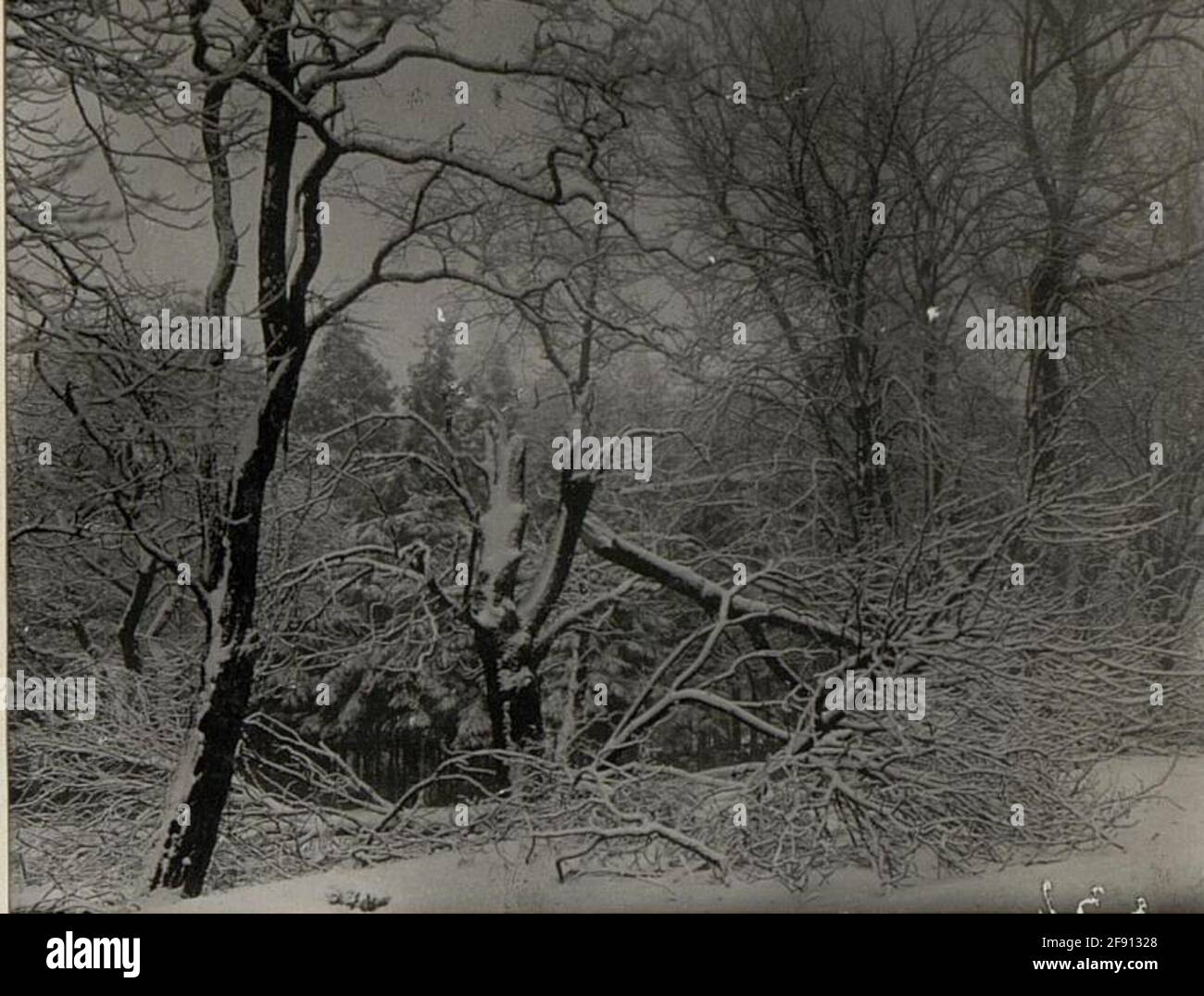 20th century caption hi-res stock photography and images - Alamy