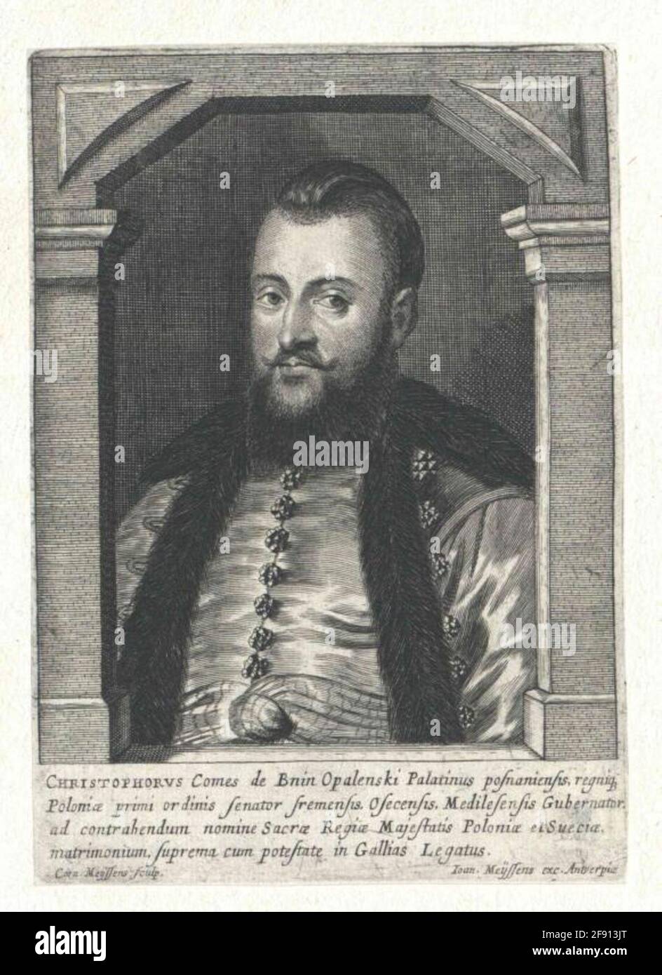 Opalinski High Resolution Stock Photography and Images - Alamy