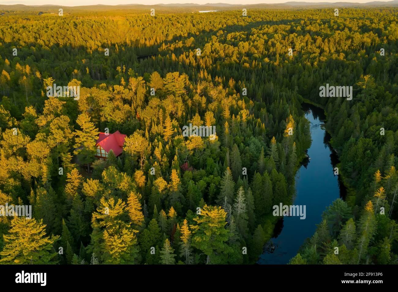life in a house in deep forest Stock Photo - Alamy