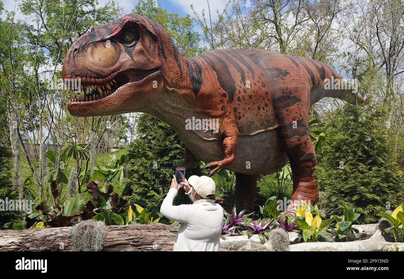 Rex features hi-res stock photography and images - Alamy