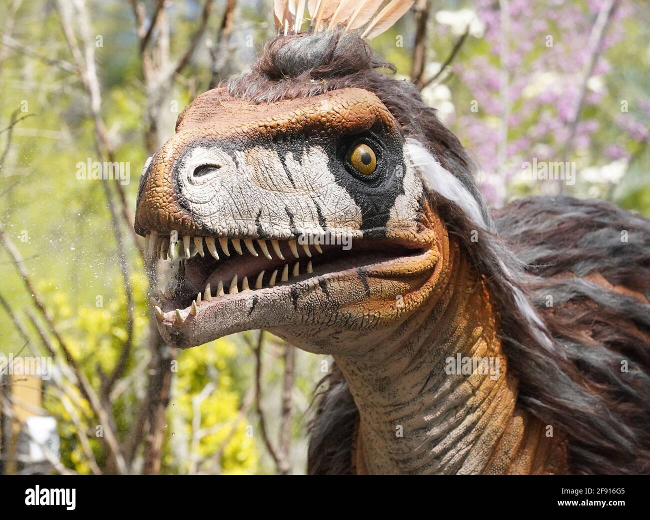 Utahraptor hi-res stock photography and images - Alamy