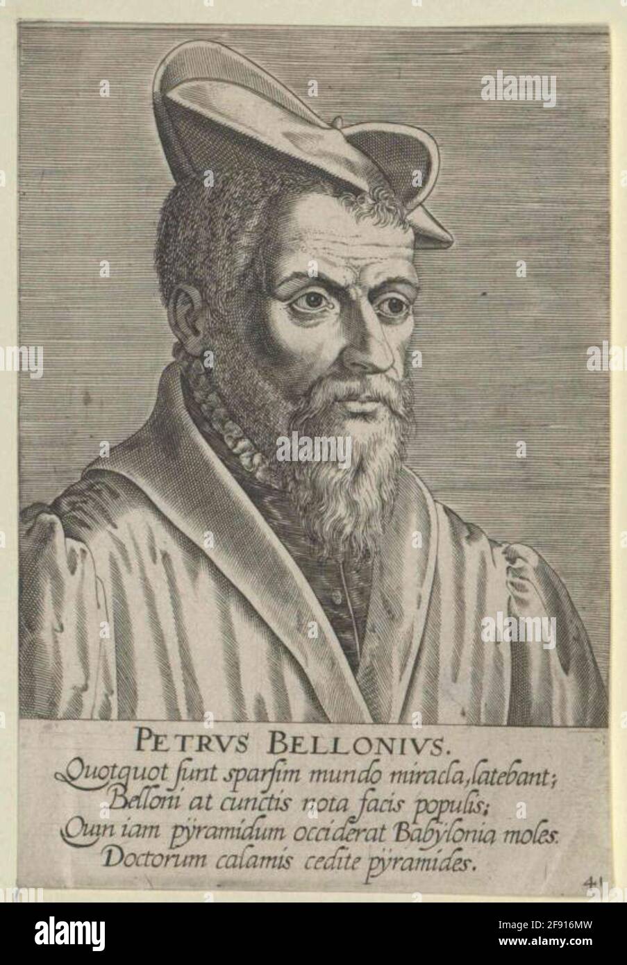 Pierre belon hi-res stock photography and images - Alamy