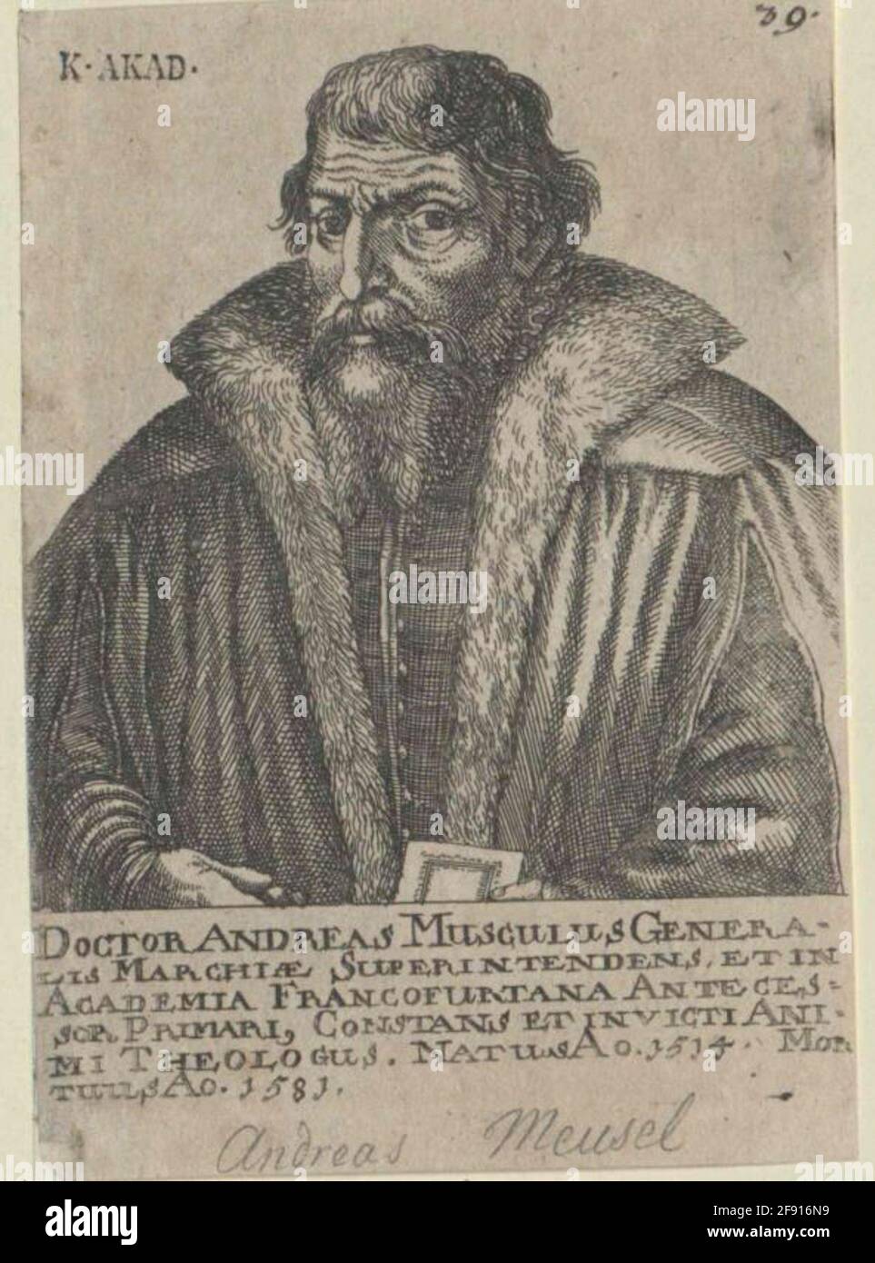 Andreas musculus hi-res stock photography and images - Alamy