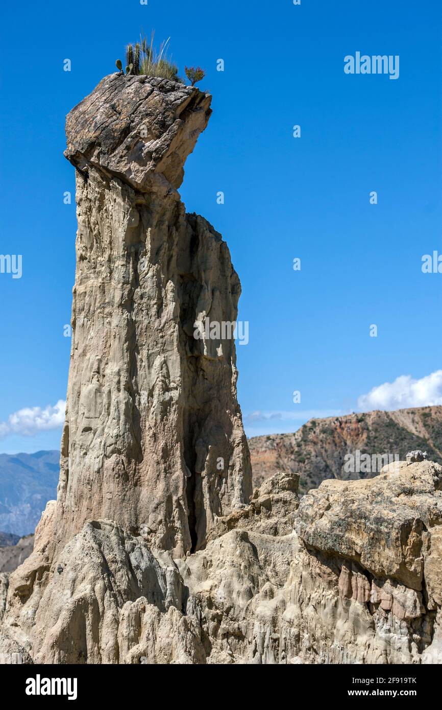 An incredible natural clay spire formation with plants growing at its ...
