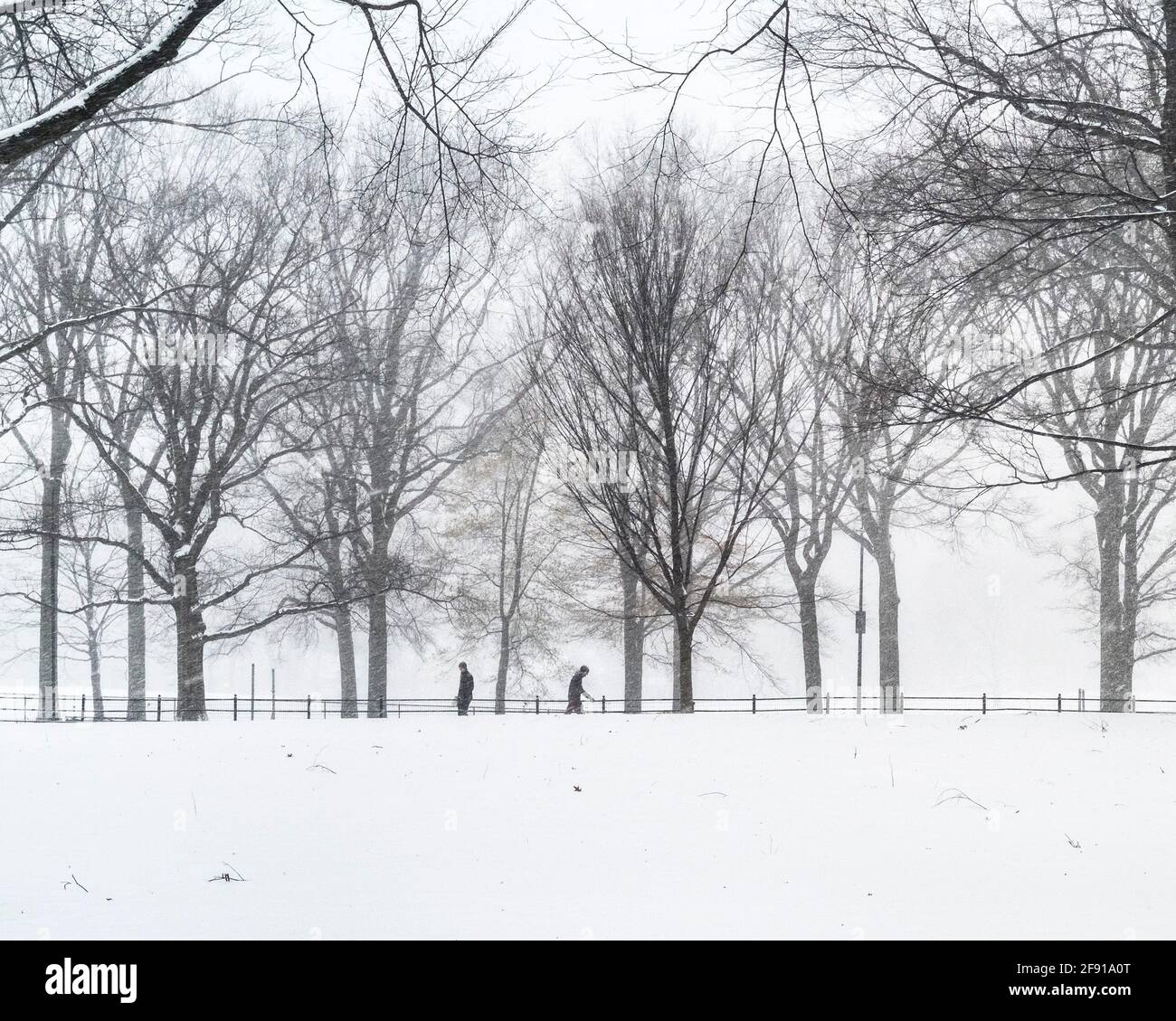 Noreaster hi-res stock photography and images - Alamy