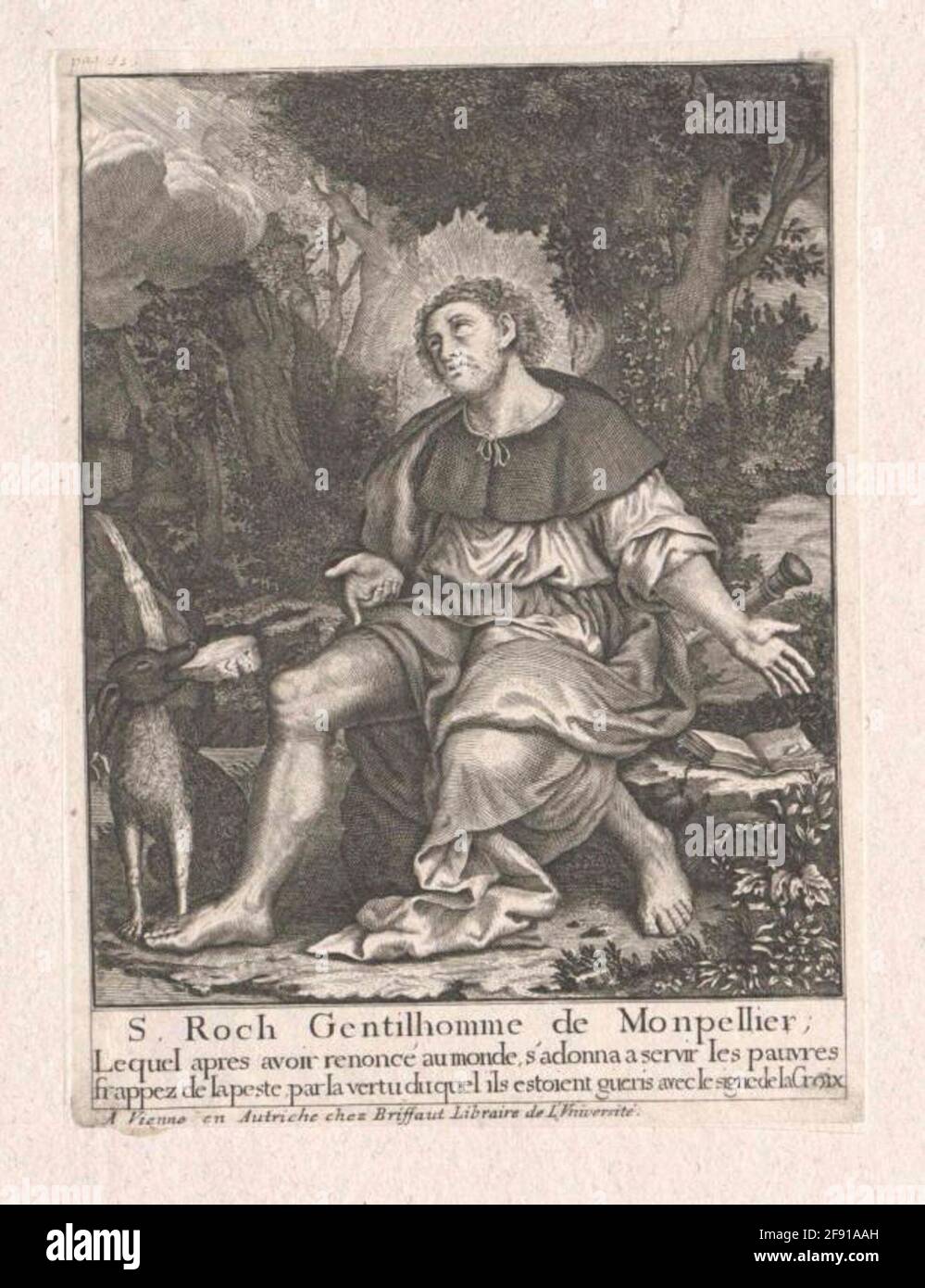 Rochus of Montpellier, Saint Stock Photo - Alamy