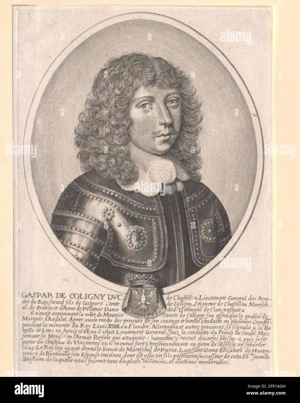 Coligny, Gaspard Count Stock Photo - Alamy