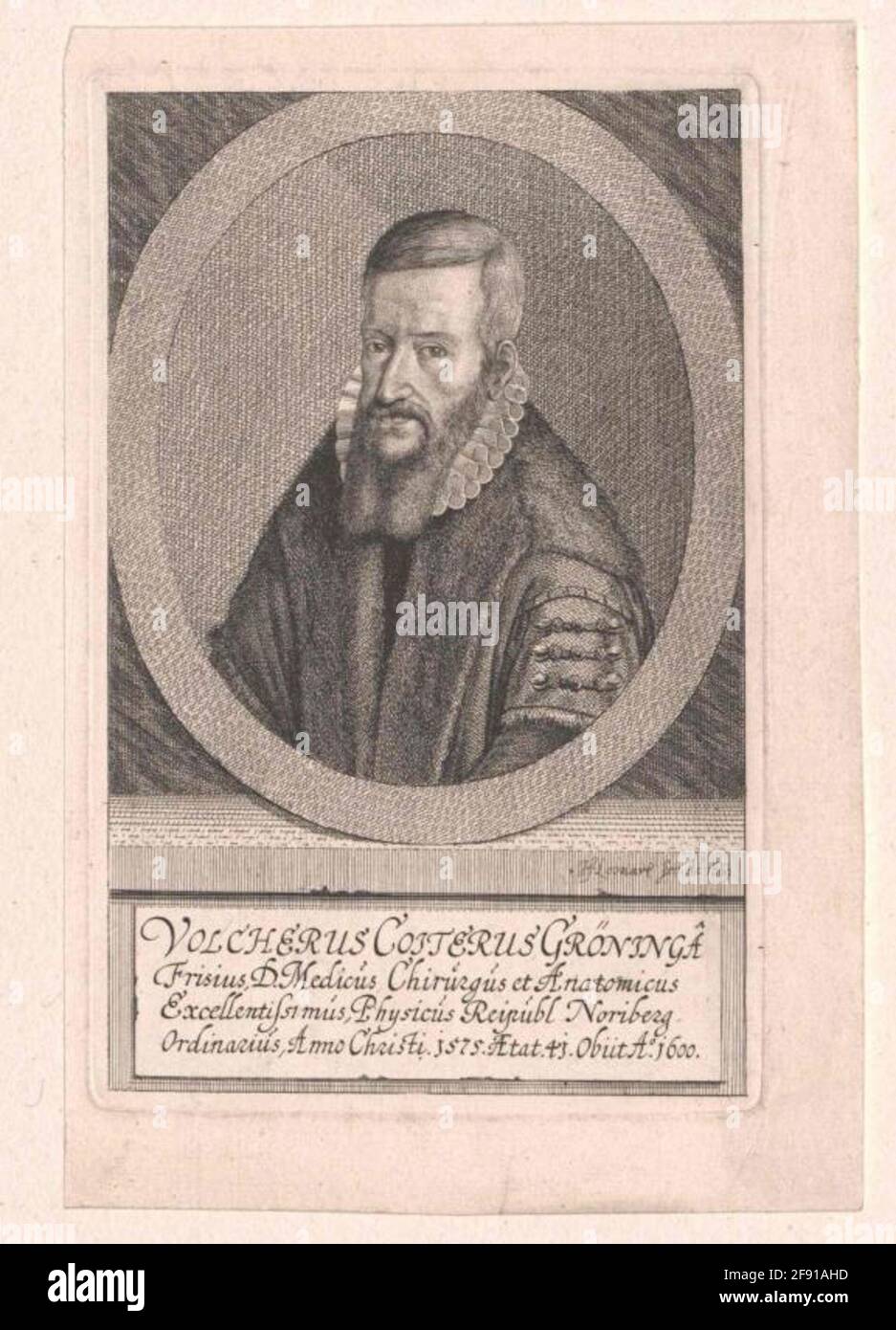 Coites, Volcher Stecher: Leonard, Johann Friedrich Stock Photo - Alamy