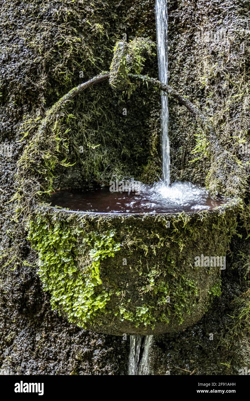 Moss-covered fountain in the shape of a bowler Stock Photo - Alamy