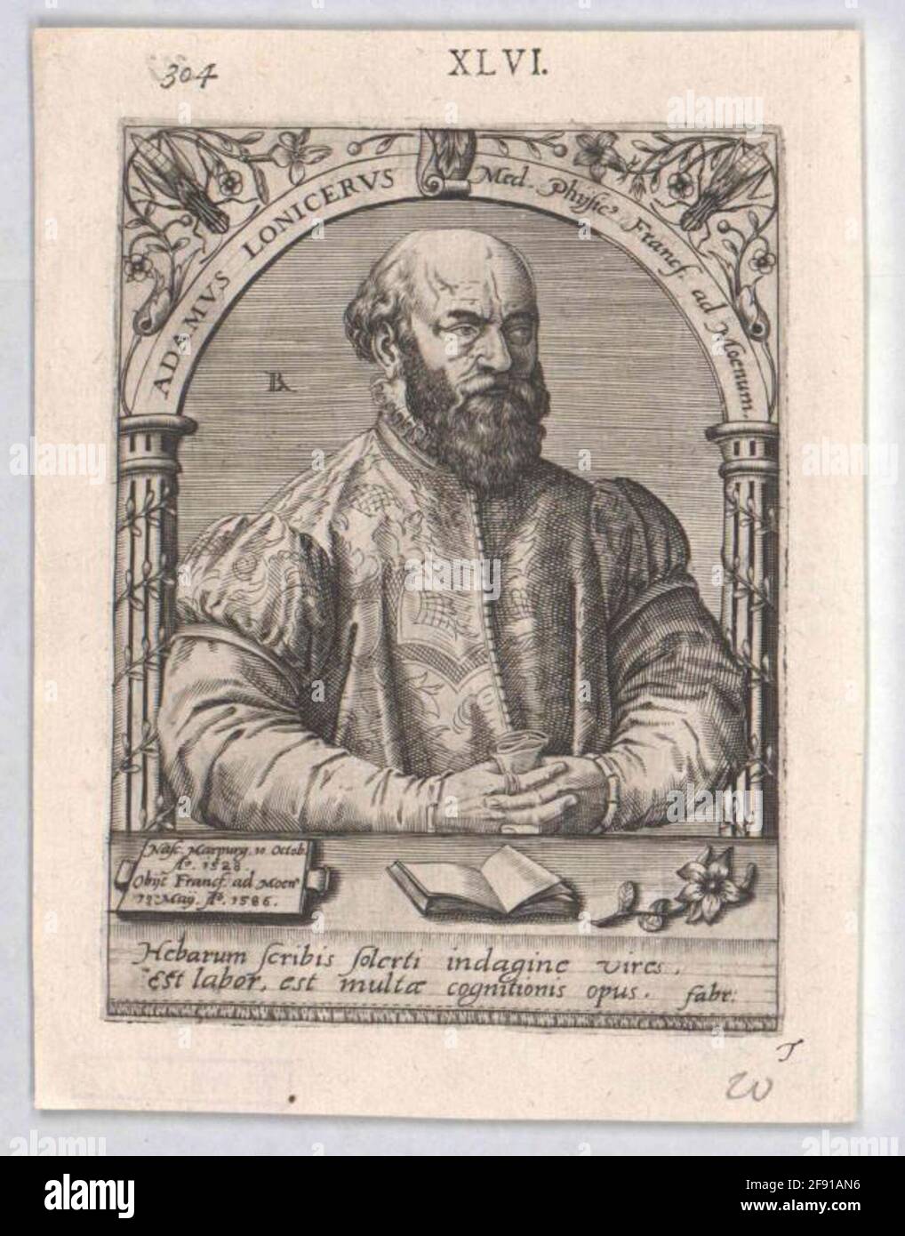 Adam becker hi-res stock photography and images - Alamy