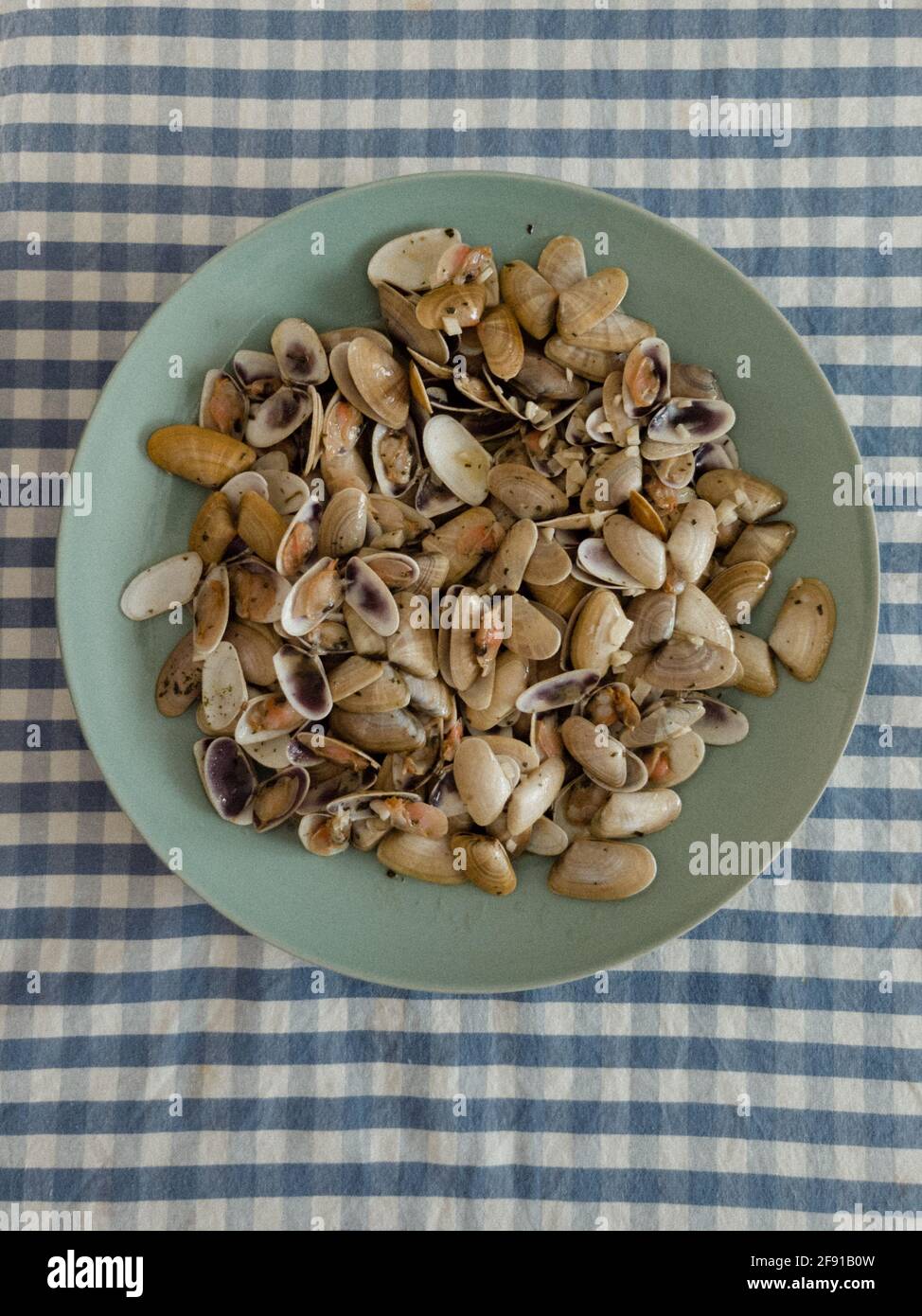 Vertical top view of small seashells in a plate on a checkered cloth ...