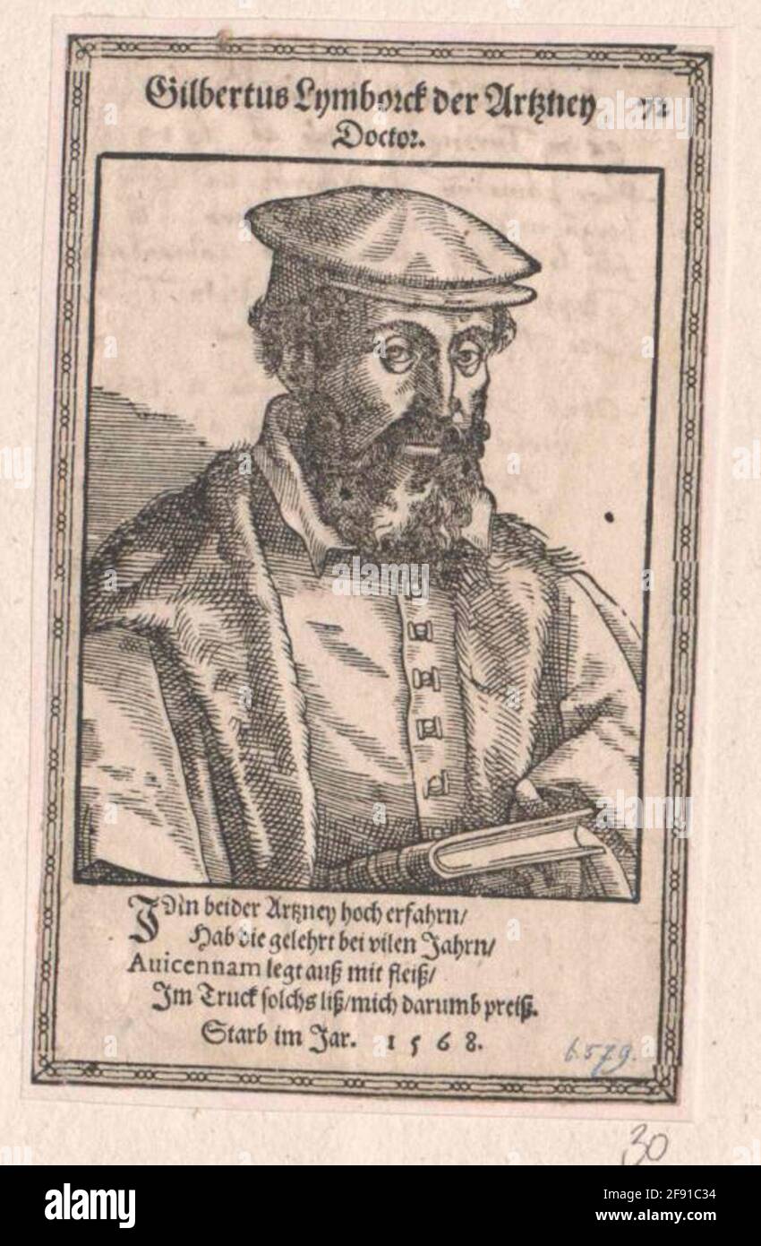 Fox form hi-res stock photography and images - Alamy