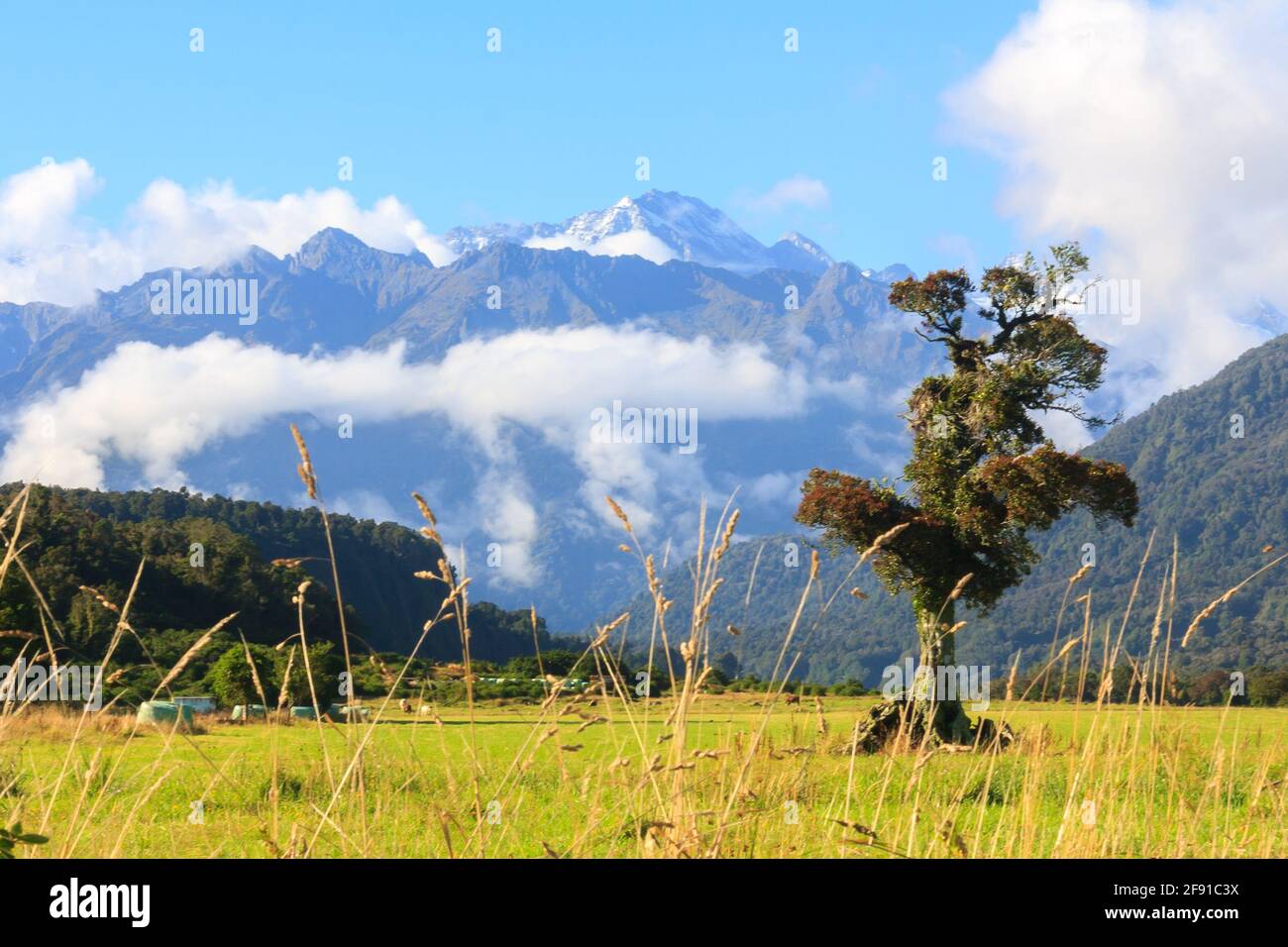 Mount field west hi-res stock photography and images - Alamy