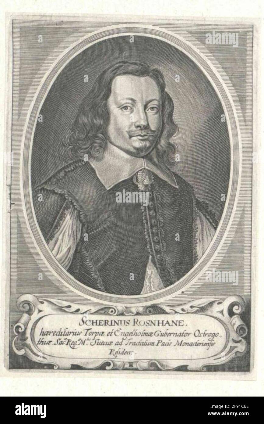 Rosenhane, Schering Baron Stock Photo - Alamy