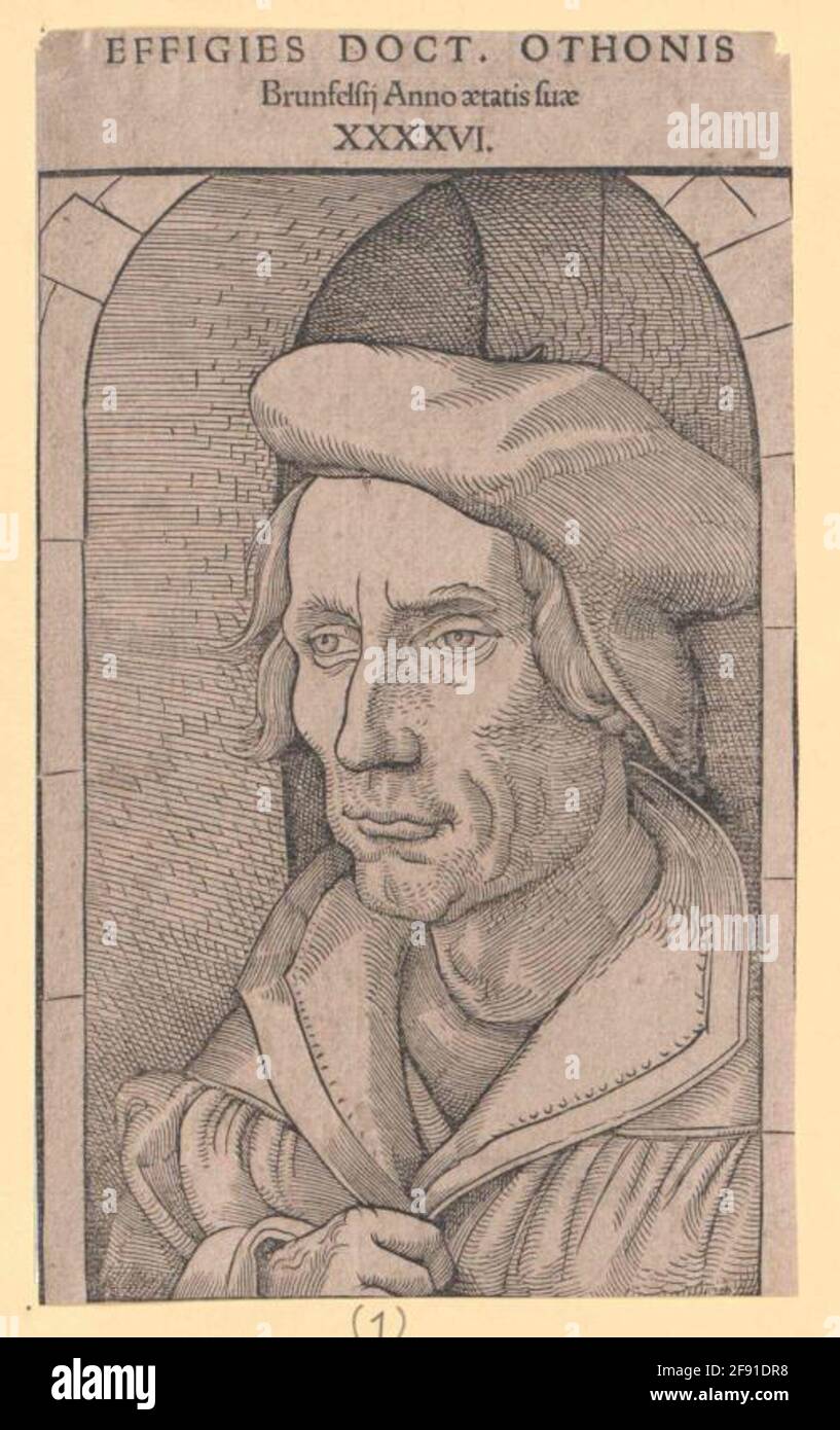 Otto brunfels hi-res stock photography and images - Alamy