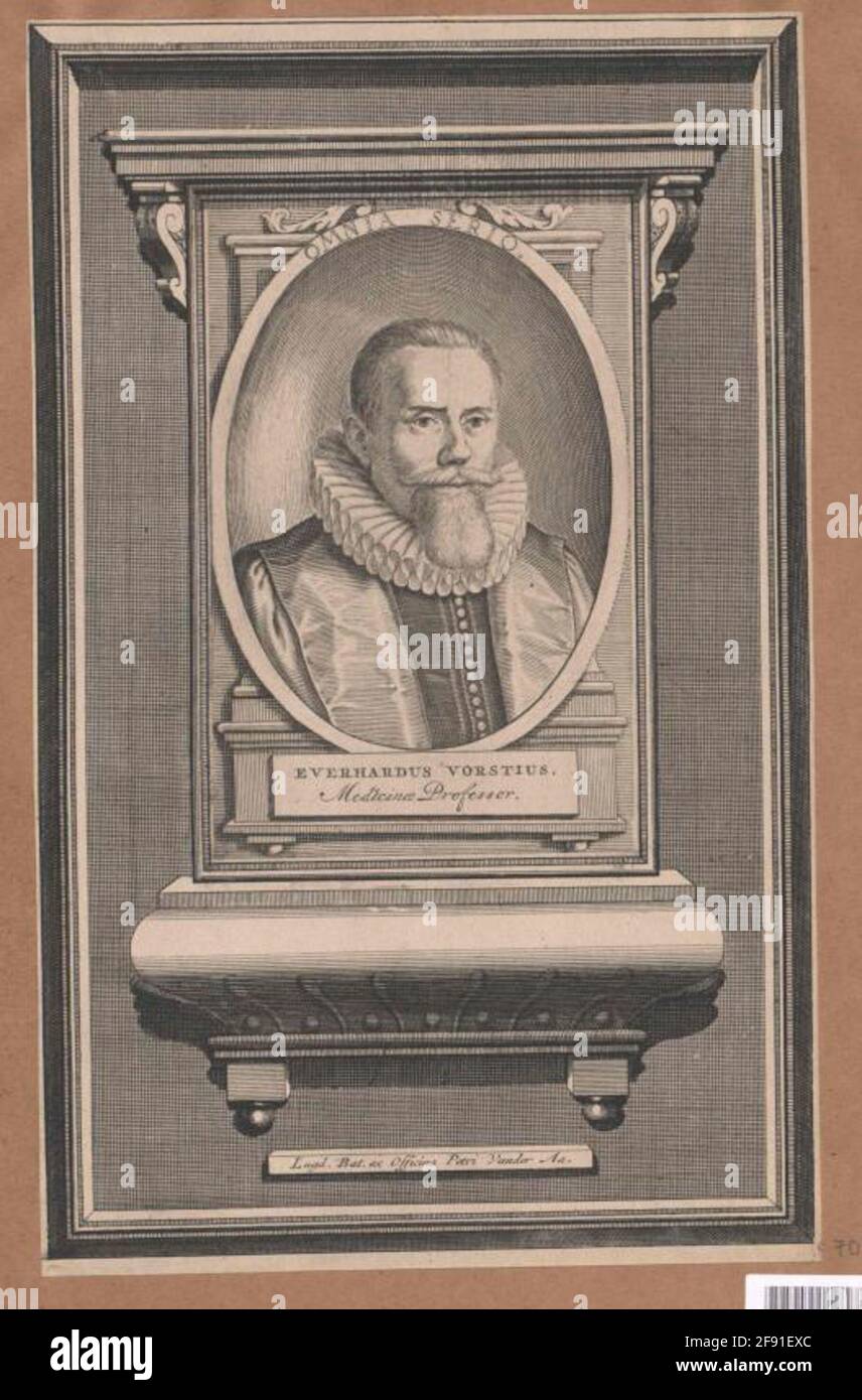 Vorstius hi-res stock photography and images - Alamy