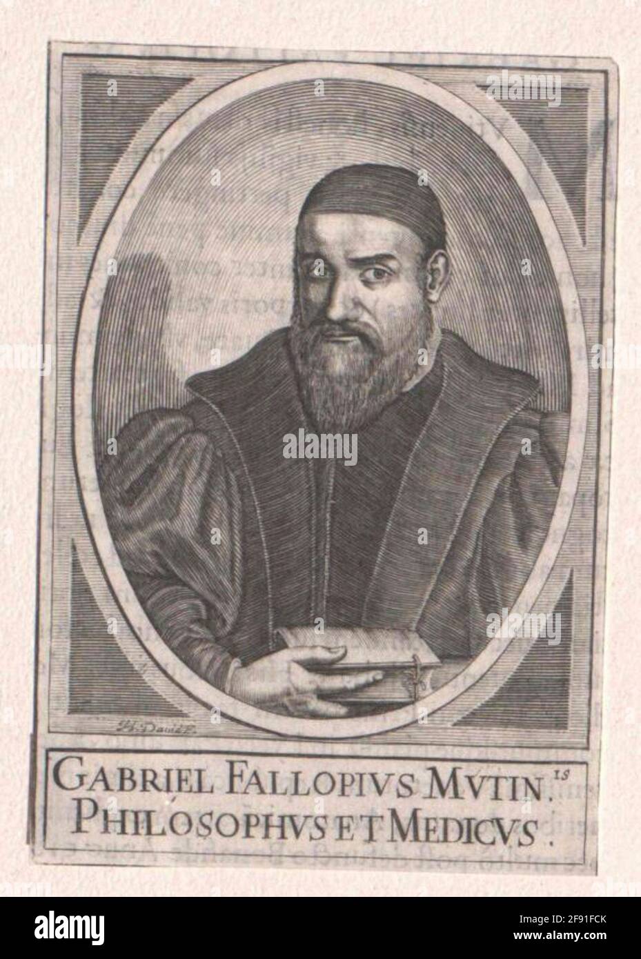Falloppio, Gabriele Stock Photo - Alamy