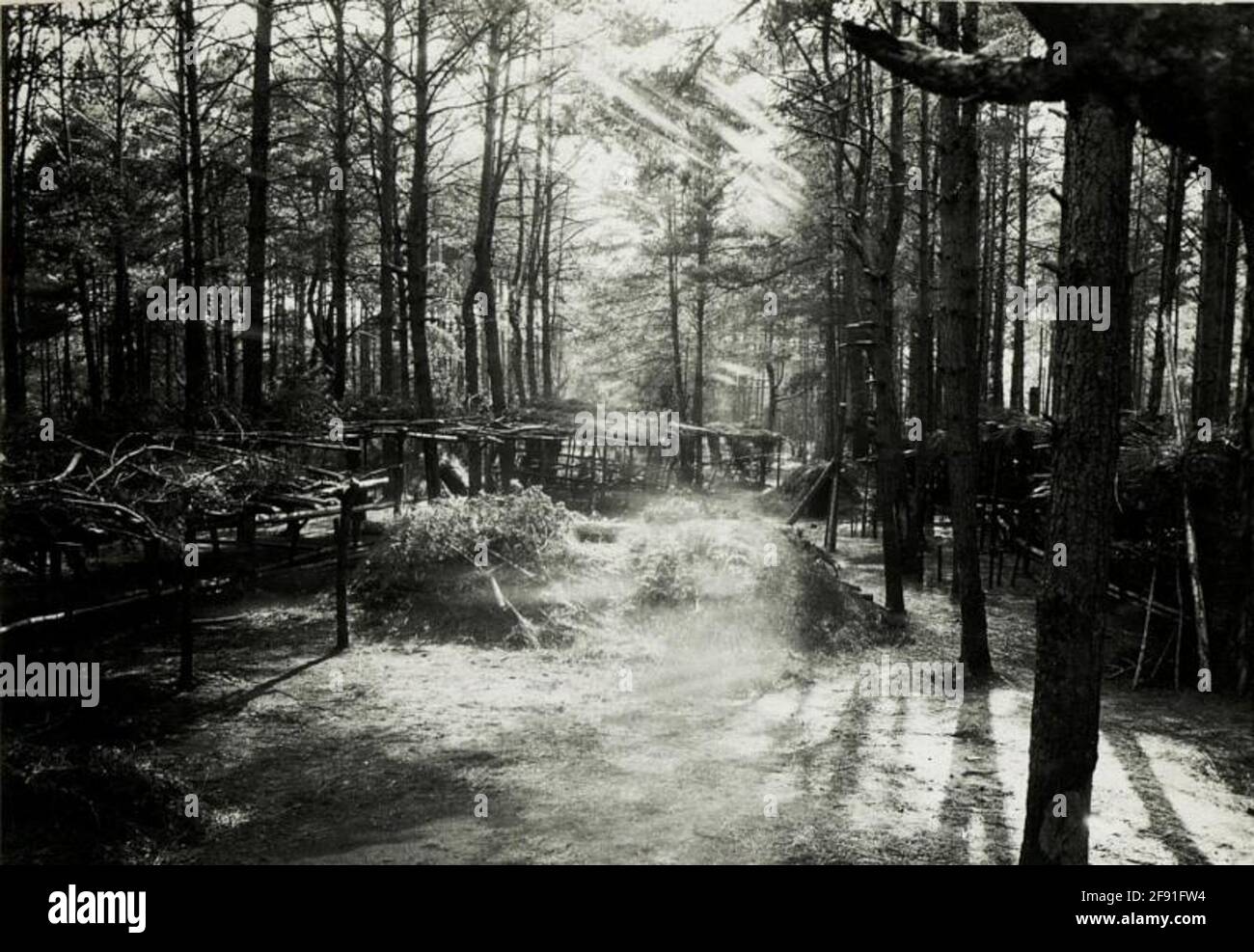 Russian cavalry warehouse in the forest north of Widuch Stock Photo - Alamy