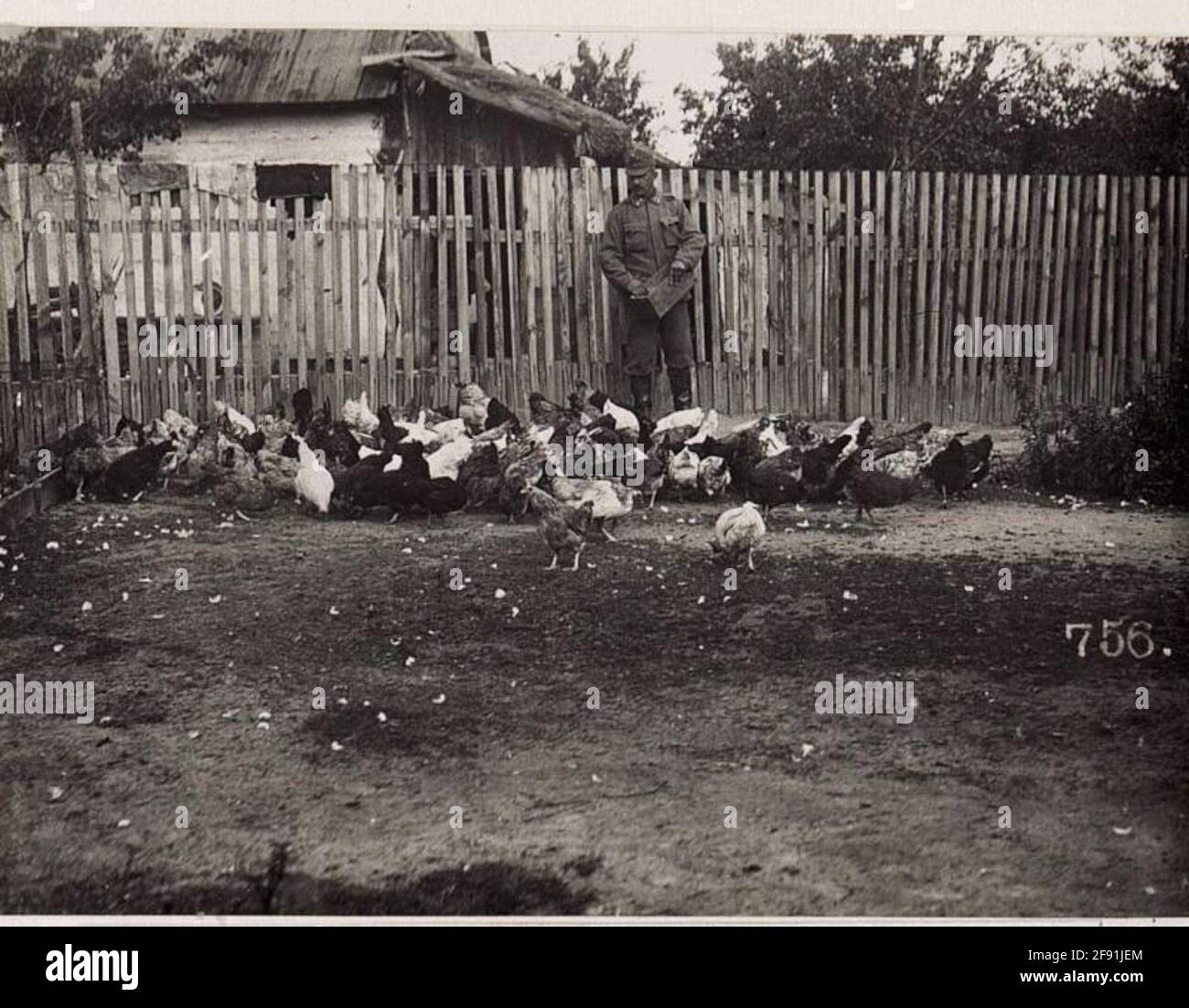 Poultry farming 4th Army Commandos in Kowel Stock Photo - Alamy