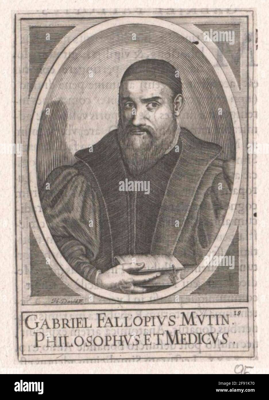 Falloppio, Gabriele Stock Photo - Alamy