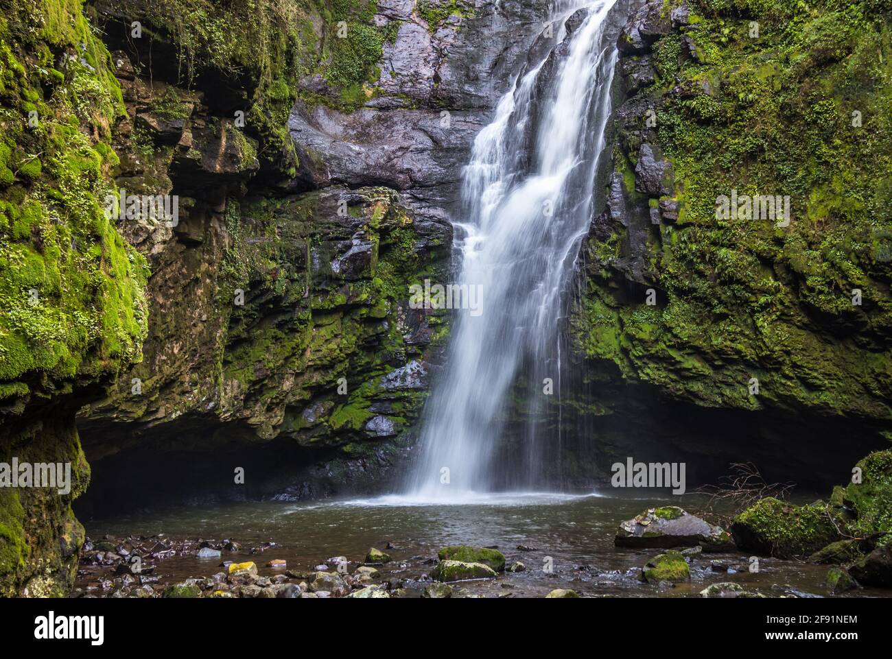 Stunning view of a foamy waterfall flowing over a mossy rock in Sao ...
