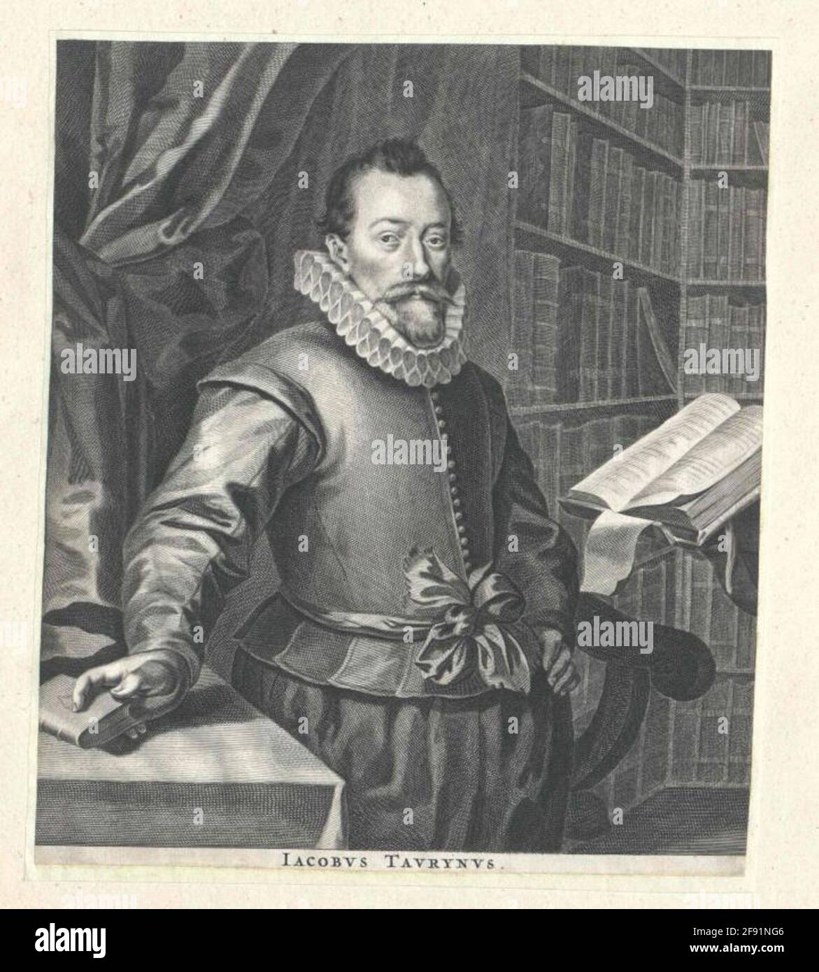 Jacobus taurinus hi-res stock photography and images - Alamy