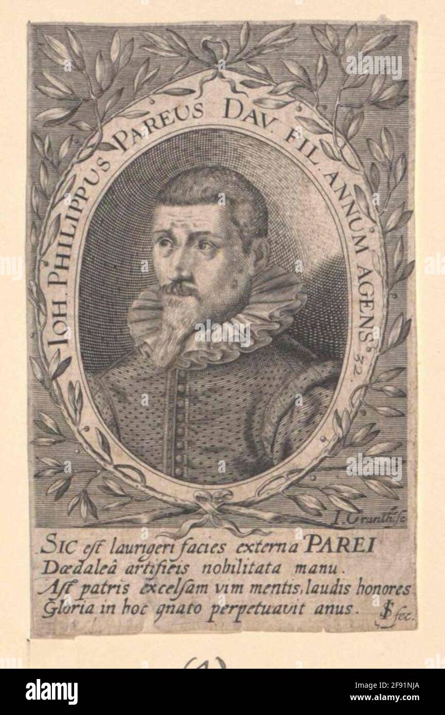 Parous hi-res stock photography and images - Alamy