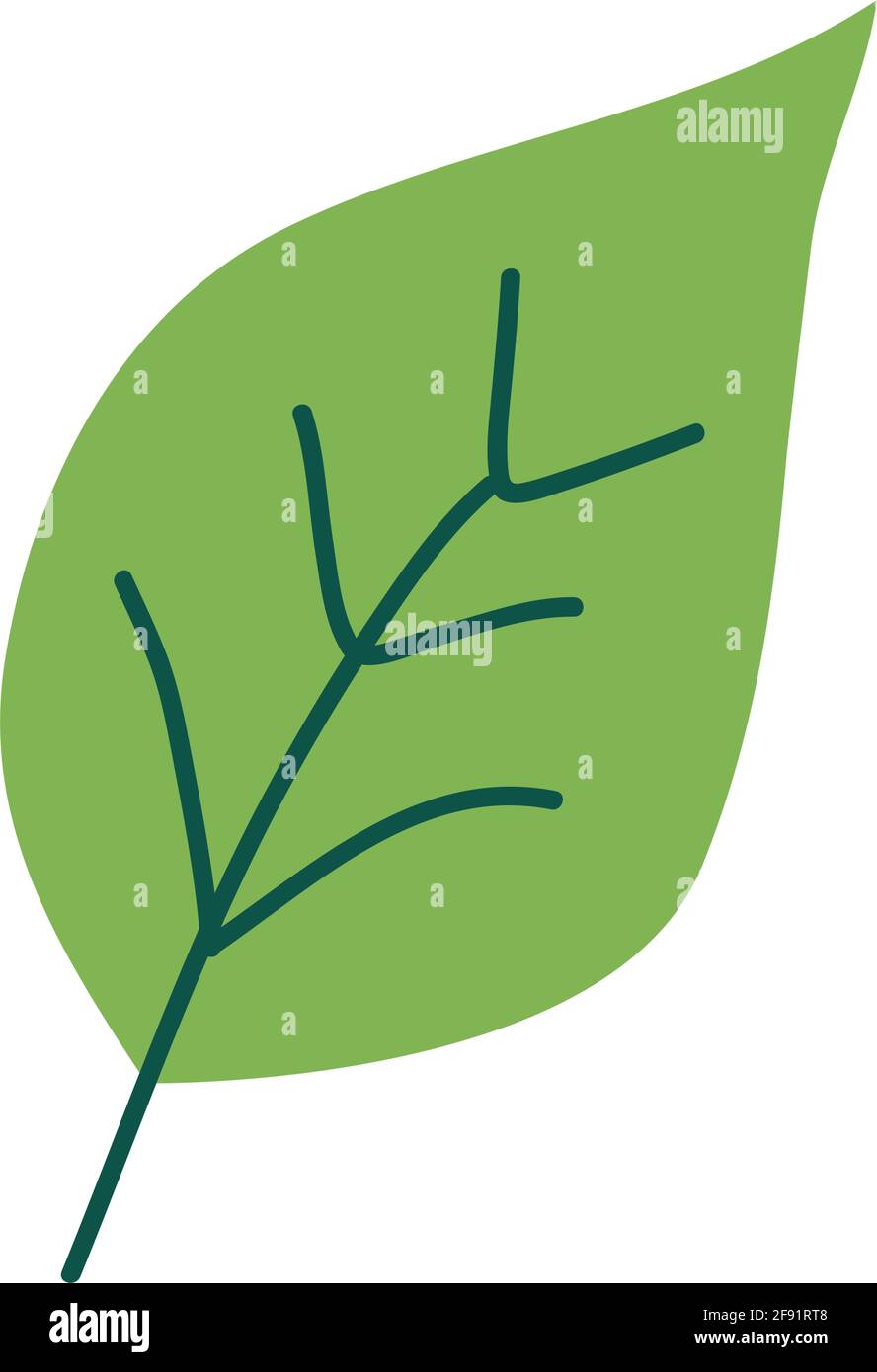 green leaf plant nature icon Stock Vector Image & Art - Alamy