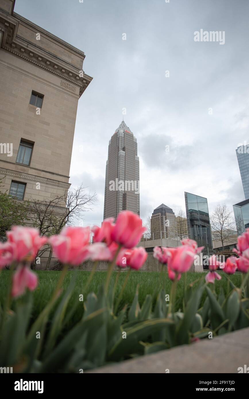 Spring flowers in downtown cleveland Stock Photo - Alamy