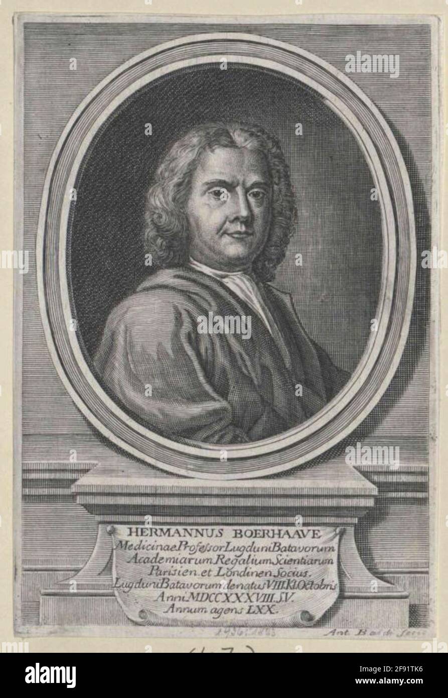 Hermann boerhaave hi-res stock photography and images - Alamy