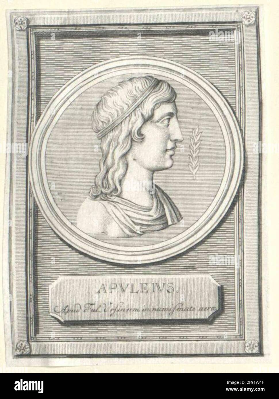 Apuleius lucius hi-res stock photography and images - Alamy