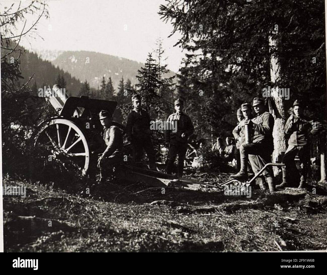 10cm Haifen on Bambesta plateau Stock Photo - Alamy